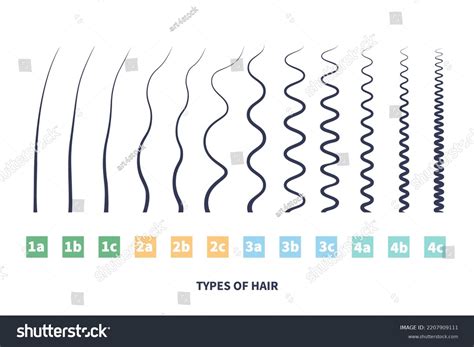 Types Hair Texture Images Stock Photos Vectors Shutterstock