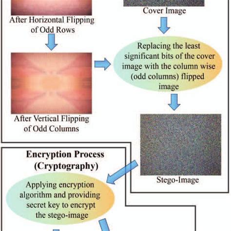 Basic Concept Of Visual Cryptography Download Scientific Diagram