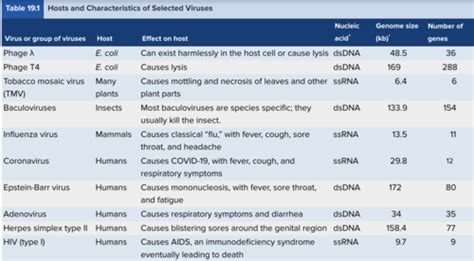 Ch 19 Flashcards Quizlet