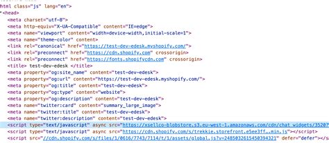 Script Tags Doesnt Work As Expected · Issue 1421 · Shopifyshopify