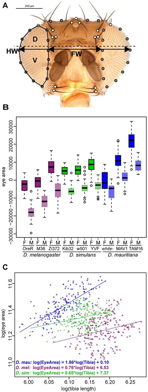 Staphylococcus Simulans Semantic Scholar