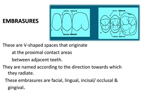 Contact And Contours Pptx