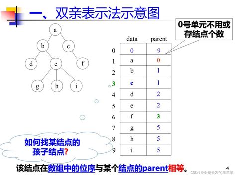 数据结构 树和二叉树 Csdn博客