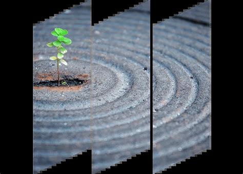 Scibite Technology That Unlocks Scientific Data Elsevier