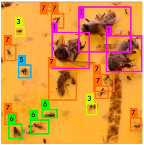 A Vision Based Counting And Recognition System For Flying Insects In