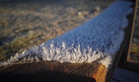 Premium Photo Close Up Of Snow