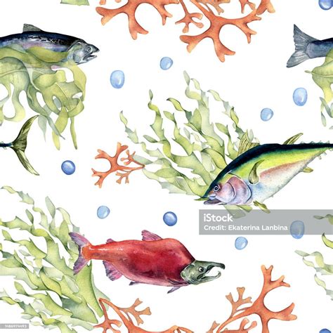 다양한 야생 바다 물고기 원활한 패턴 수채화 그림은 흰색으로 분리되어 있습니다 해초 참치 연어 코호 바다 식물이 손으로