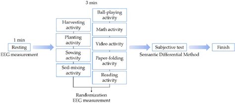 Experimental Protocol EEG Electroencephalography Download Scientific Diagram