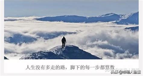 一个人最好的生活状态 知乎