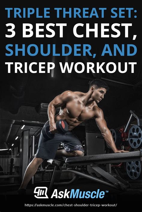 Best Chest Workout For Ectomorphs At Reggie Jimmy Blog