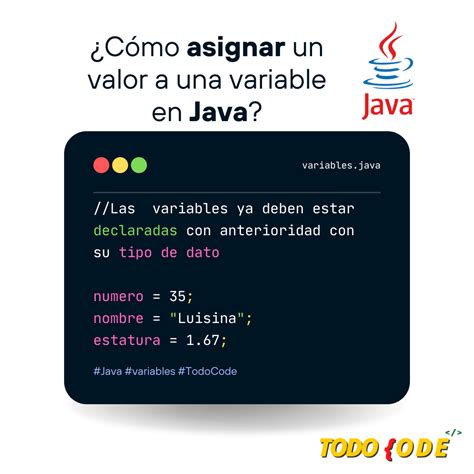 Todocode 👩🏻‍💻👨🏻‍💻¿cómo Asignar Valores A Variables En