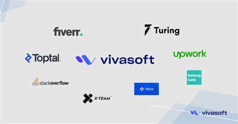 How To Hire A Dedicated Golang Developer Guide Vivasoft Ltd
