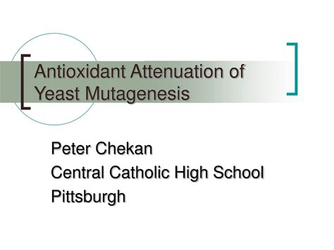 Ppt Antioxidant Attenuation Of Yeast Mutagenesis Powerpoint