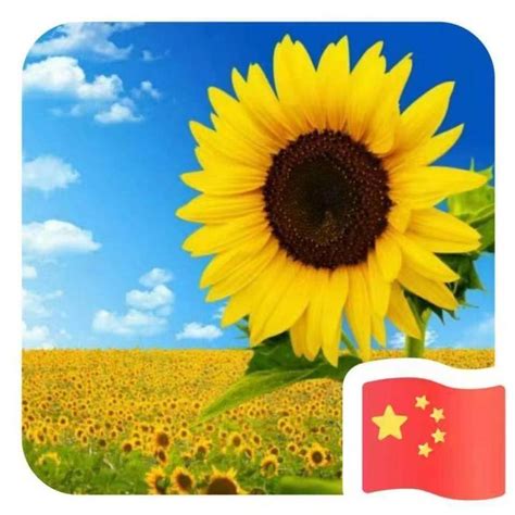 纯股权投资 大消费，大健康赛道，商超，酒店，美容，口腔，养老等皆可投 知乎