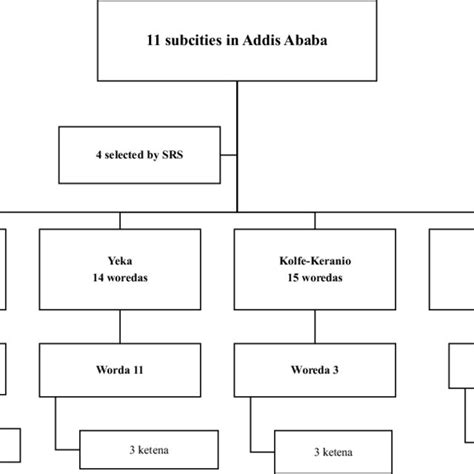 Flow Diagram Of Sampling Procedure Download Scientific Diagram
