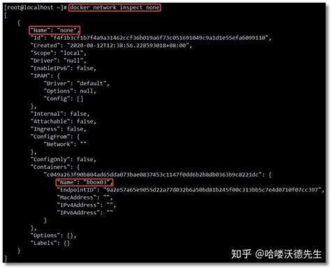 Docker 网络模式详解及容器间网络通信 知乎