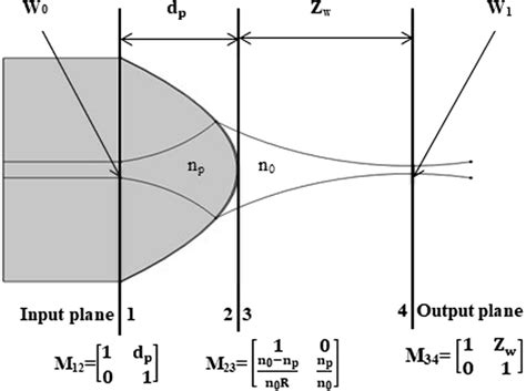 Schematics Of The Parabolic Microlens At The End Of A Smf 9125 µm