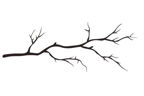 Tree Branch Drawing Sketch White Free Photo Illustration Rawpixel
