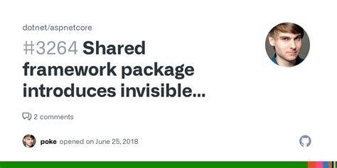 Shared Framework Package Introduces Invisible Dependencies Through Namespace Pollution · Issue