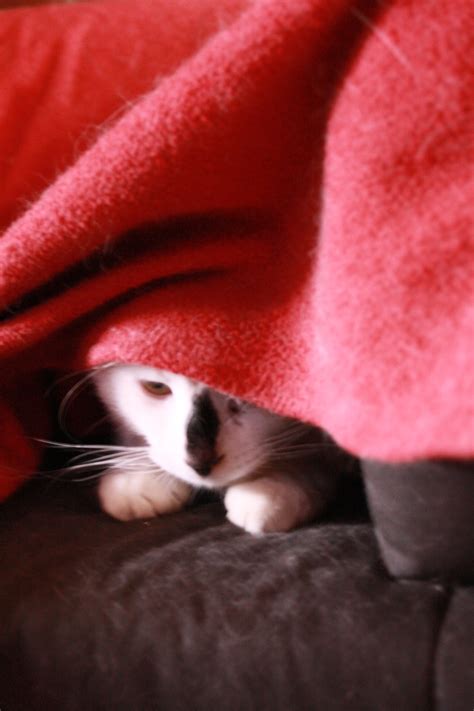 Img 0911  Free Image Hosting Service