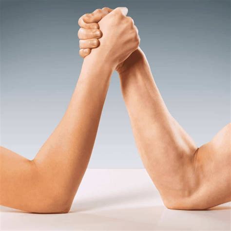 Strength And Unity How The Muscular And Skeletal Muscle Collaborate