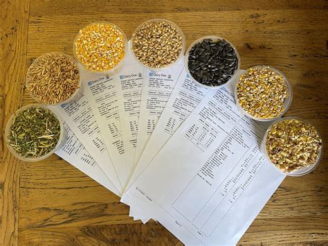 The Value Of Feed Testing