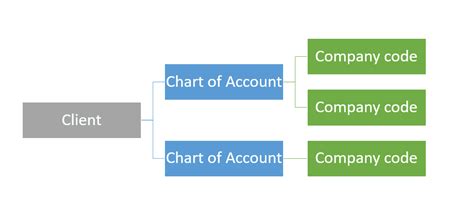 Mastering The Chart Of Accounts In SAP FICO A Comprehensive Guide Saptutorials In