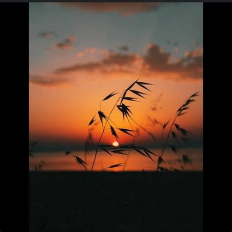 Listen To Wishes Hassan Raheem Ft Talwiinder By Aizaz Haider In