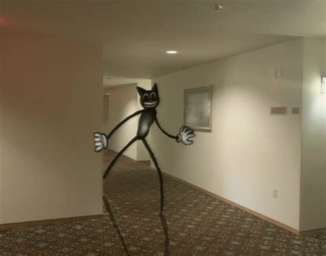 Cartoon Cat Fandom