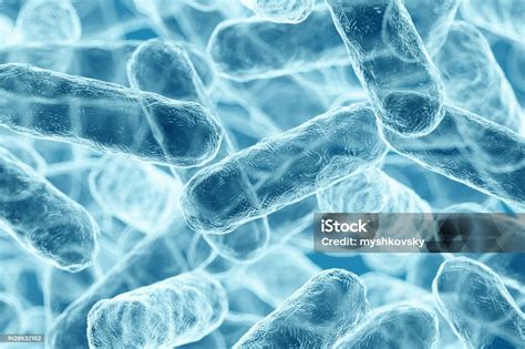 장내 세균 그람 음성 막대 모양의 박테리아 장내 미생물의 일부 및 다른 감염의 원인 물질 3d 렌더링 대장균 Klebsiella Enterobacter 및 기타 3차원