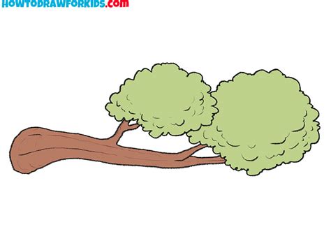 Simple Tree Drawings Branches How To Draw Trees Overlapping Branches