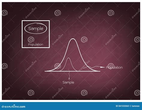 Normal Distribution Curve With Research Process Sampling Stock Vector Illustration Of Analyst