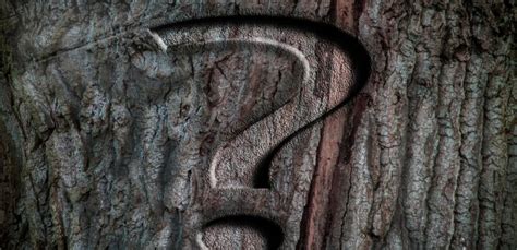 Delayed Processing In Autism Integrated Treatment Services