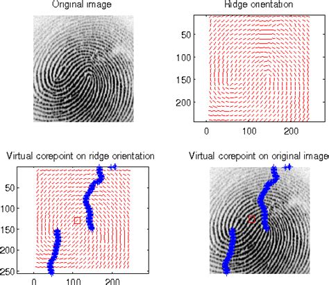 Figure 3 From Detection Of Virtual Core Point Of A Fingerprint A New