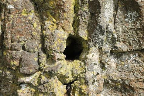 Premium Photo Close Up Of Hole In Stone