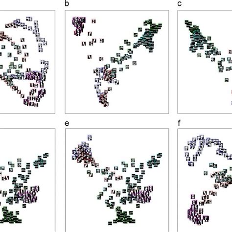 Visualization Performance Of Different Methods Coil100 Fi Rst 5 Download Scientific Diagram
