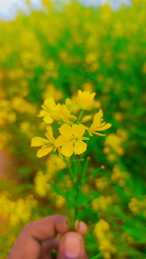 kapil kumar on linkedin agencedecommunication agricultural