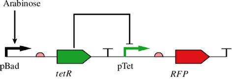 Figure 1 From Temporal Logic Inference For Classification And Prediction From Data Semantic