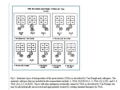 Classification Of Chd