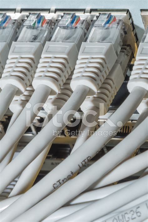 Network Cables Connected To Switch Stock Photo Royalty Free Images Freeimages