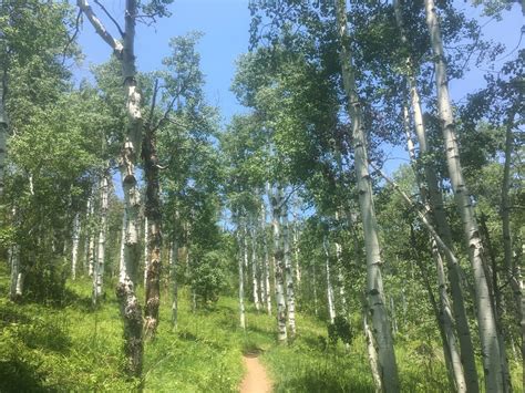 Aws Identity Access Management Iam Explained