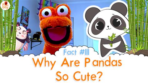Why Are Pandas Cute Archives The Fact A Day