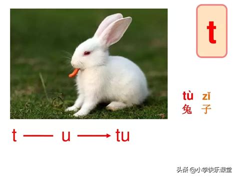 拼音声母图片和拼法（小学一年级汉语拼音要点——声母，图文详细解读，孩子轻松学习） 说明书网