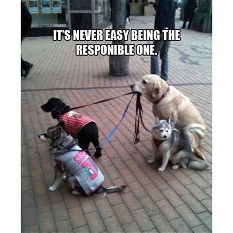 Its Never Easy Being The Responible One Funny