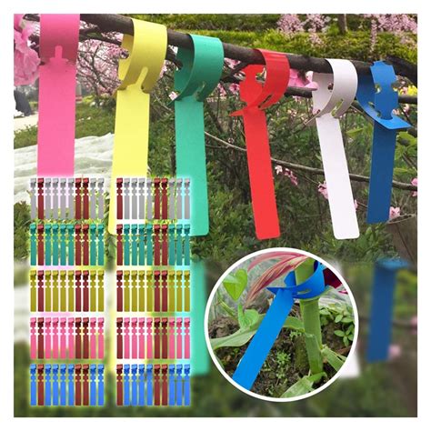 Fruit Tree Labels