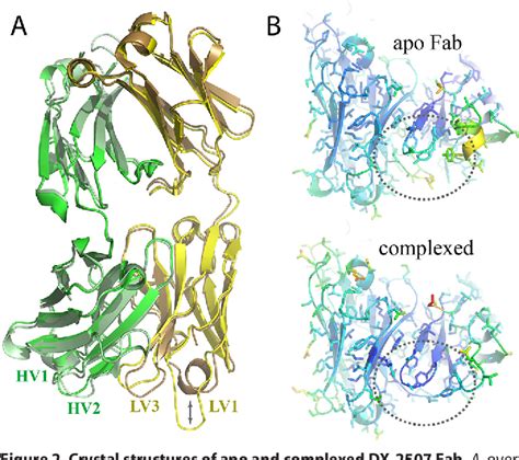 Figure 1 From Structural Basis For Ph Insensitive Inhibition Of Immunoglobulin G Recycling By An
