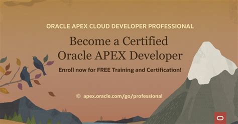 Arash Keivan On Linkedin Orclapex Oracleapex Oracle Oracledatabase Oraclecloud…