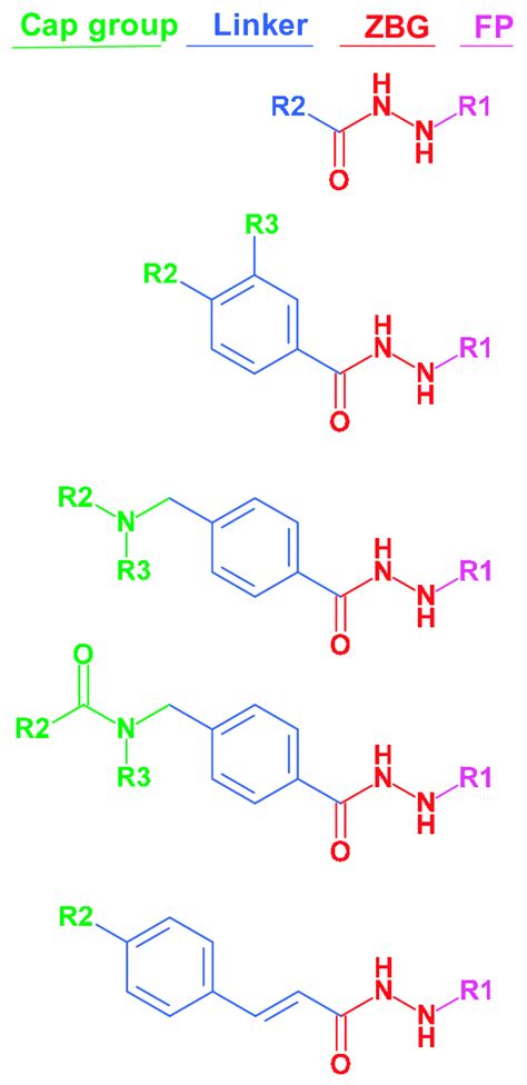 Structures Of Alkylated Hydrazide Based Hdac Inhibitors That Were Used