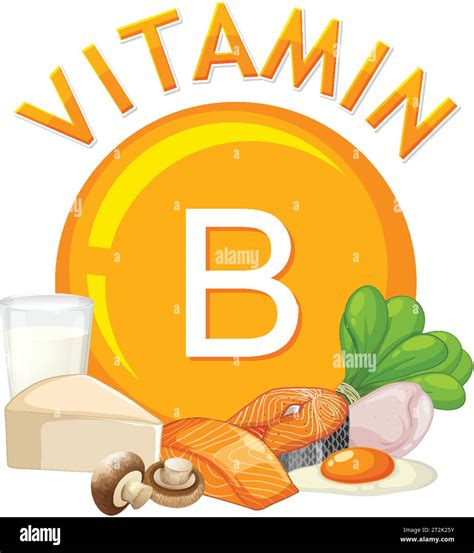 Illustration Of Vitamin B Rich Foods In A Vector Cartoon Style Stock Vector Image And Art Alamy