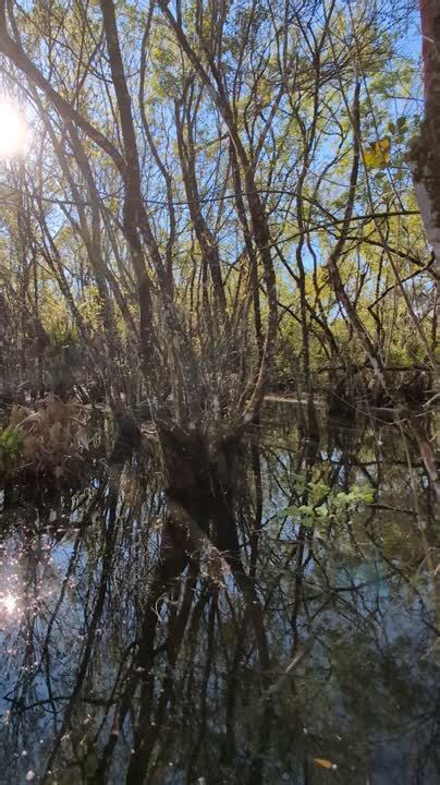 paul julian phd pws on linkedin worldwetlandsday
